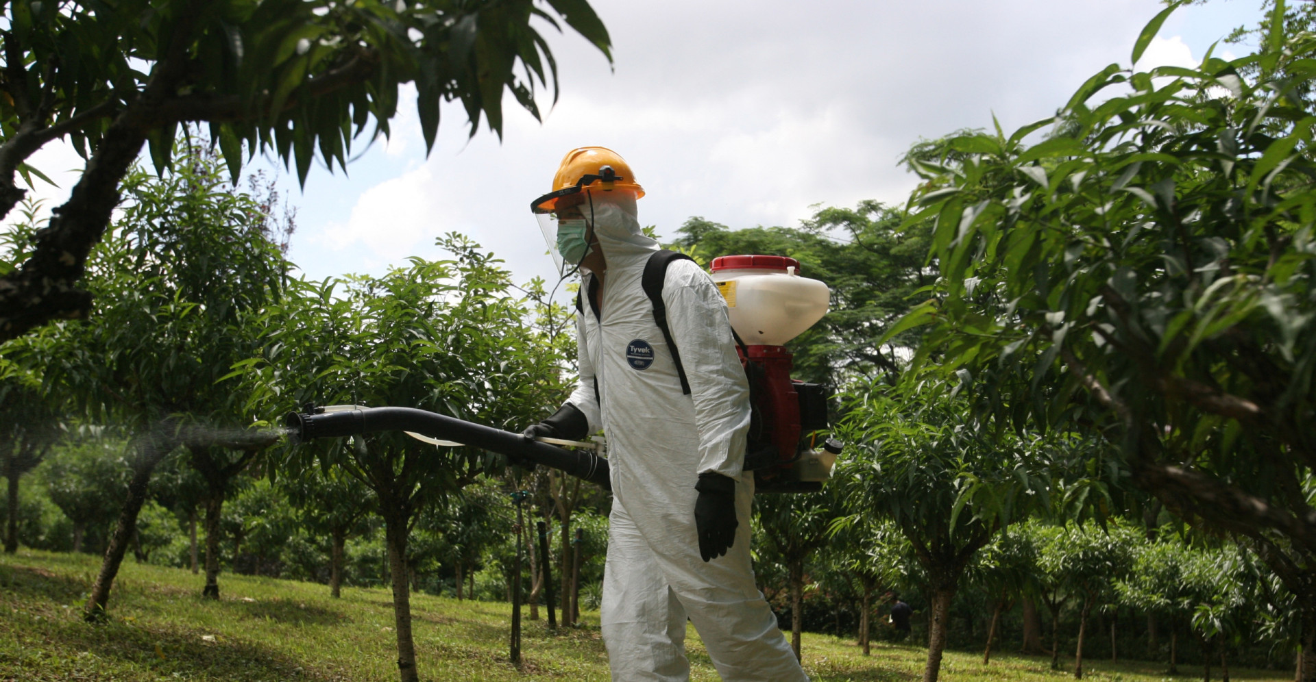 Places that use the most pesticides