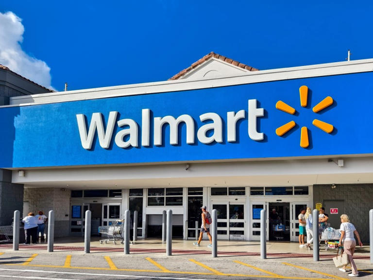 Discover Walmart's $27 solar light bird bath: A stylish addition to ...