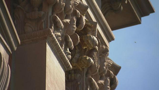 See it: Massive beehive takes over art museum near White House