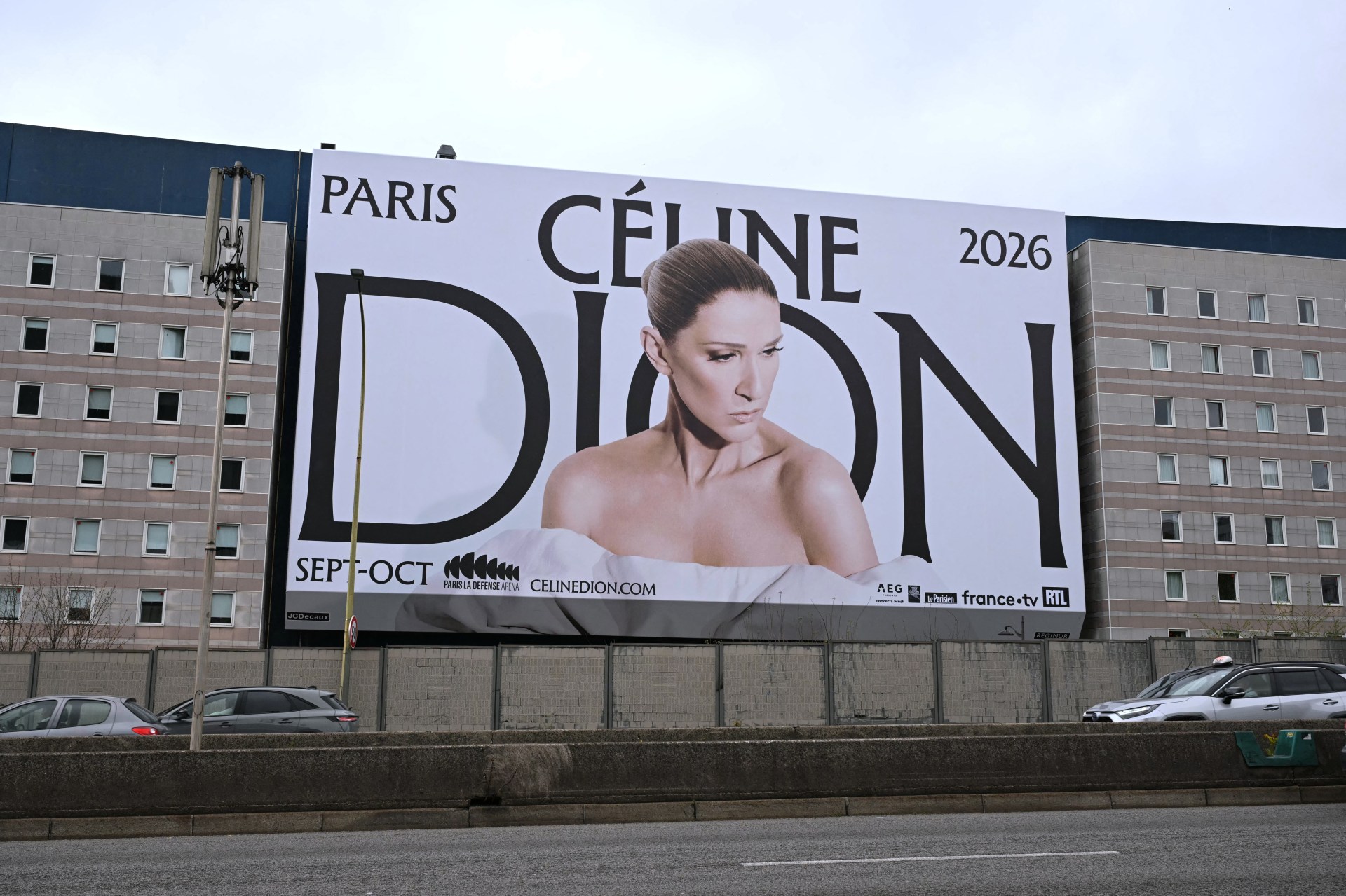 Celine Dion fans hopeless with over 1,000,000 stuck in the queue for ...