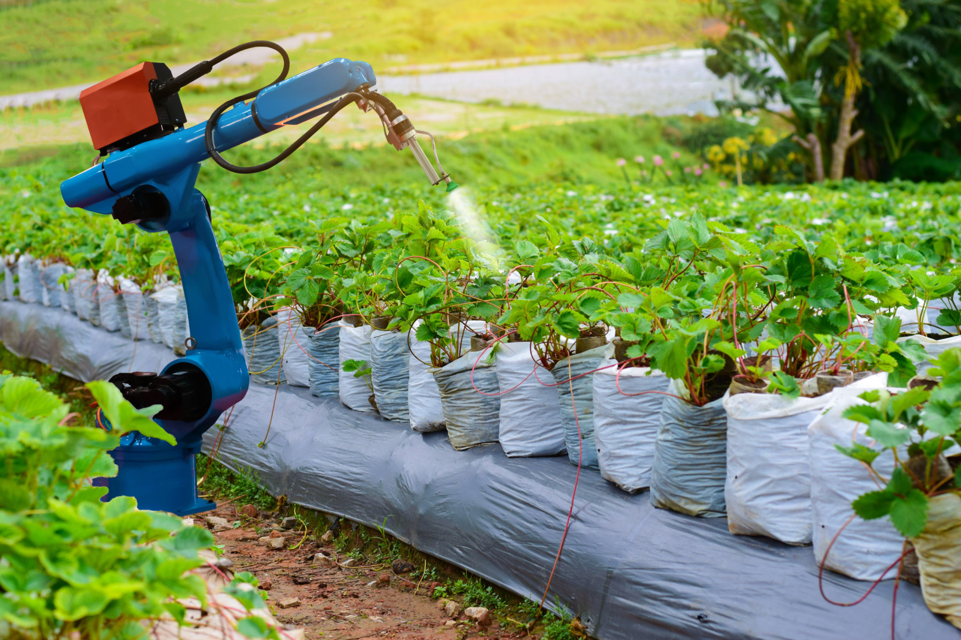 15 dangerous jobs robots do with ease