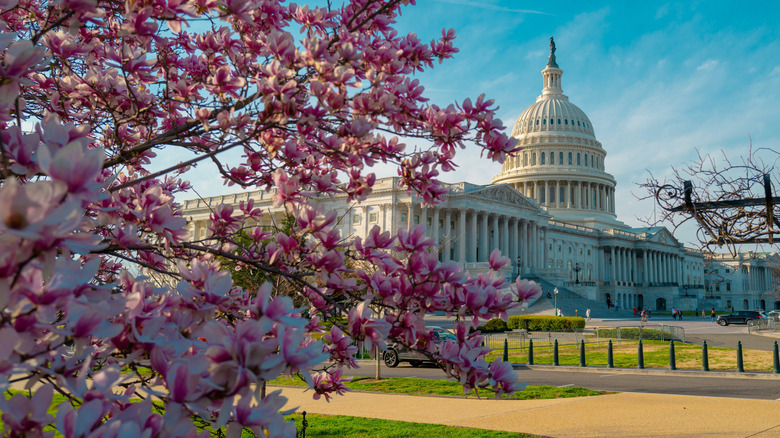 Non-touristy activities you shouldn't skip on your Washington DC trip