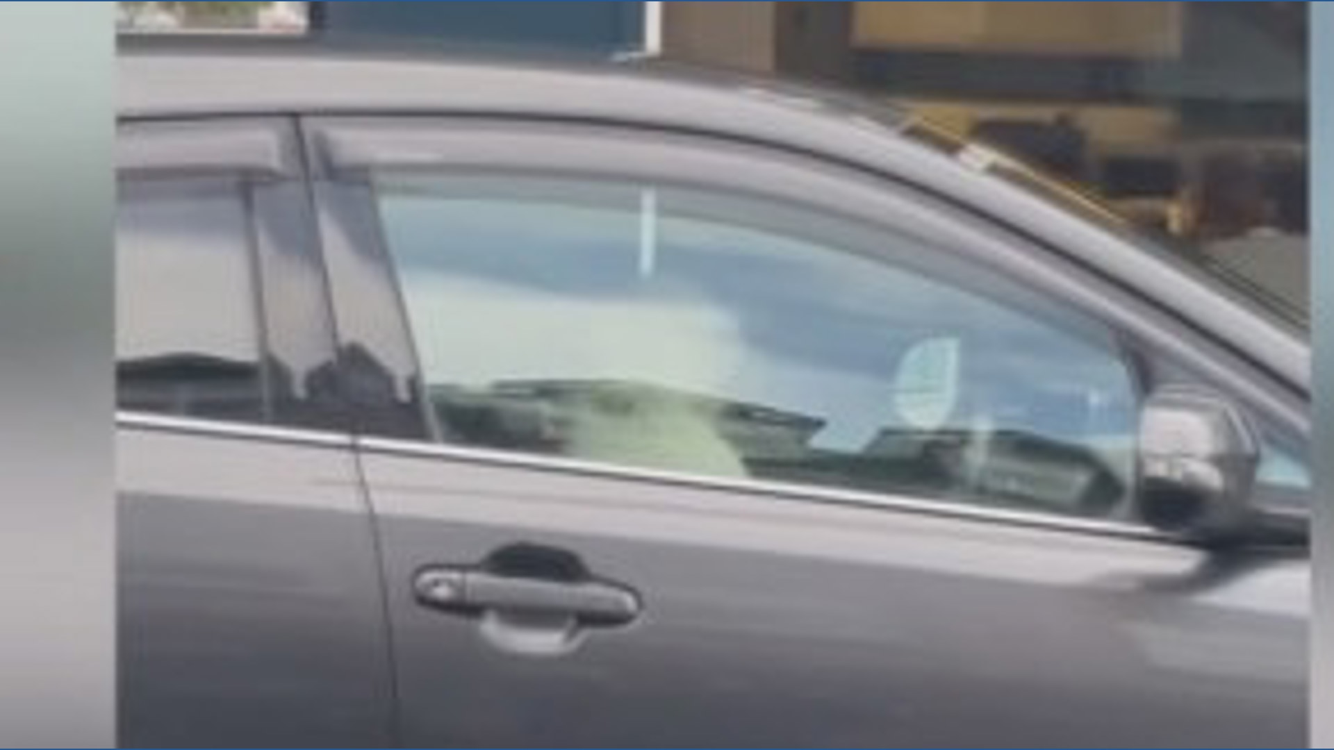 Impatient pooch aggressively honks car horn