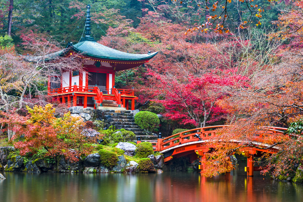 The insider guide to visiting Kyoto without the crowds