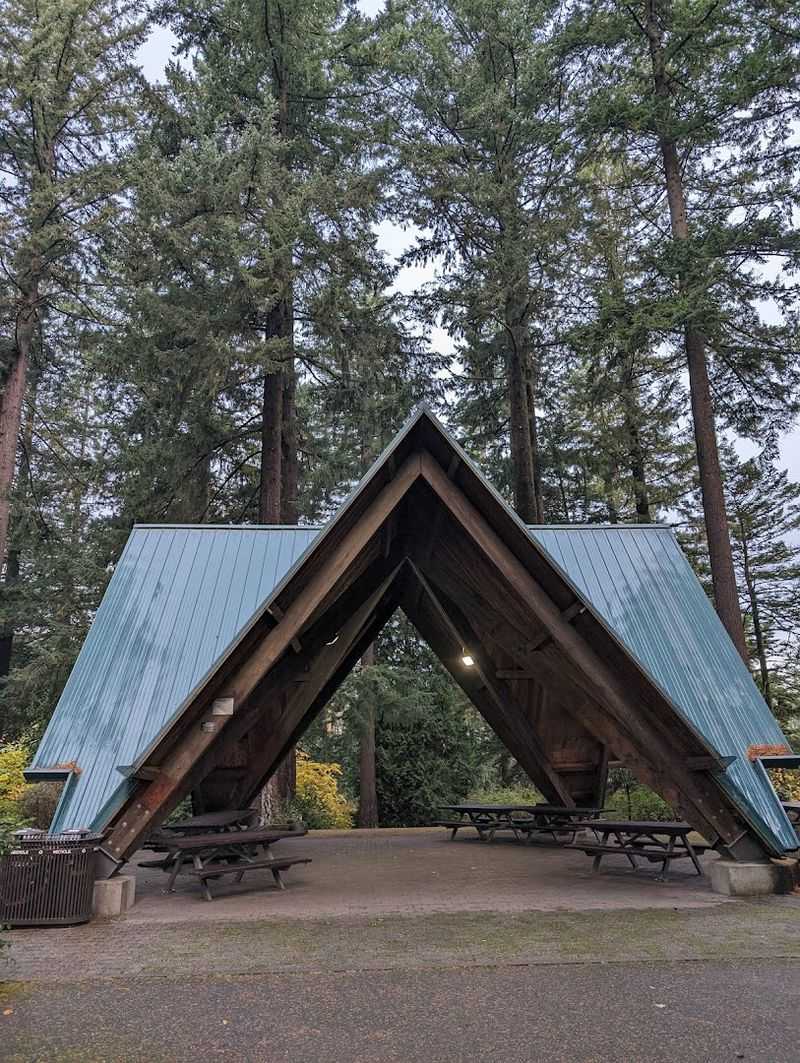 The Oregon 'Narnia Trail' that turns a simple family hike into a ...