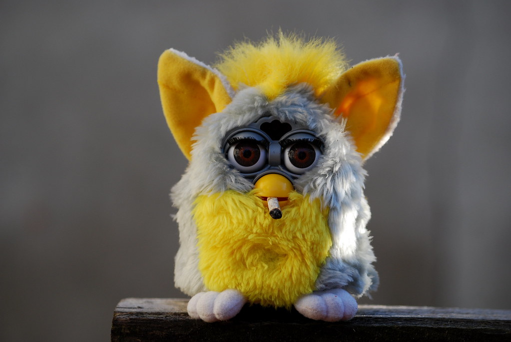 15 pet trends from childhood we completely forgot