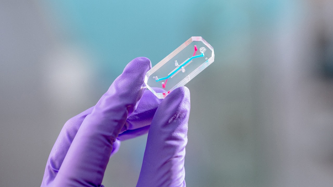Artemis II returns organ-on-chip experiment using astronauts’ own cells