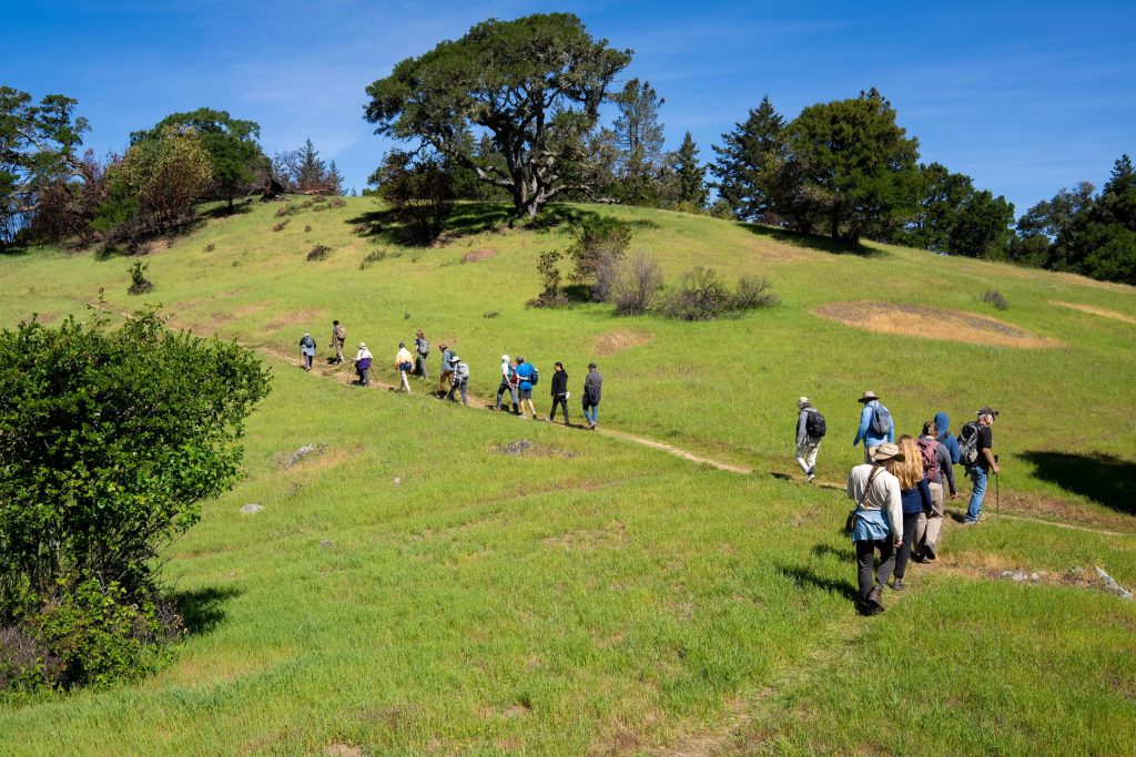 In Marin County, a guided hike traces how prescribed burns shape plant ...
