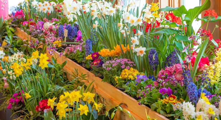 Spring festivals in Minnesota