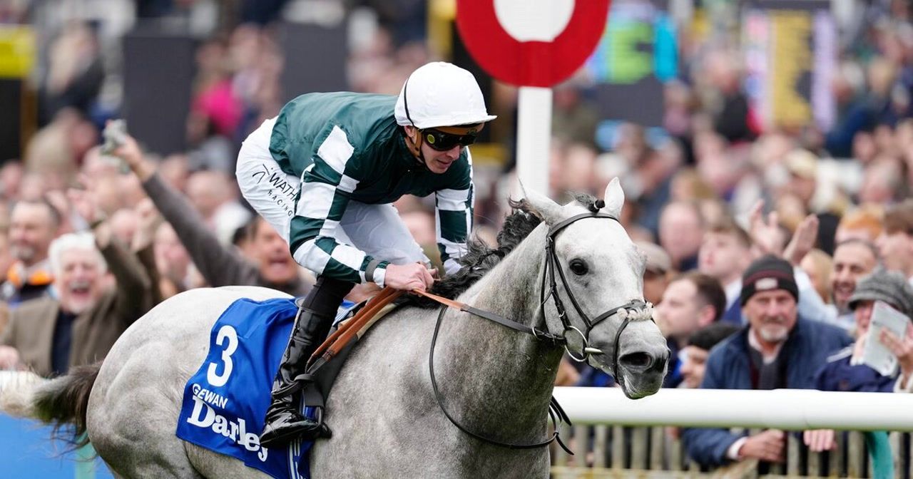 Champion racehorse Gewan dies after fatal accident
