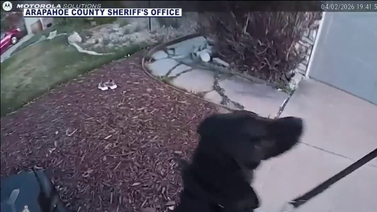 Colorado K-9 Rex finds missing girl in 12 minutes