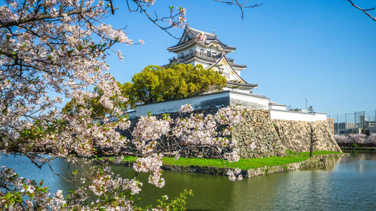 What is the Japan-USA tourism campaign 2026 and what does it mean for ...