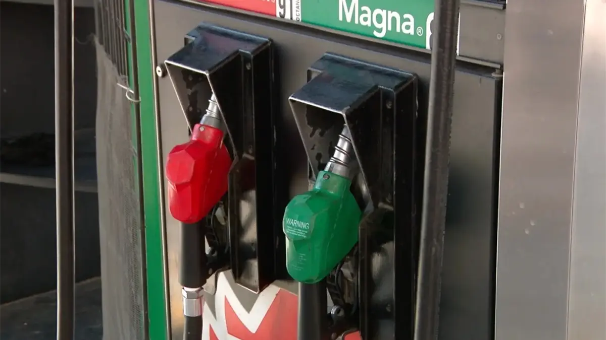 Gasolina magna vs premium: ¿cuál es la diferencia y cuál le conviene a ...