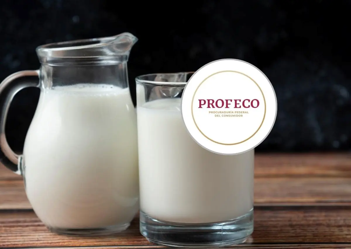 Profeco revela las 4 mejores marcas de leche en México