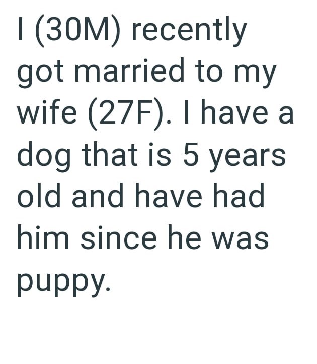 Dog lover refuses to give up his dog of 5 years when his new wife ...