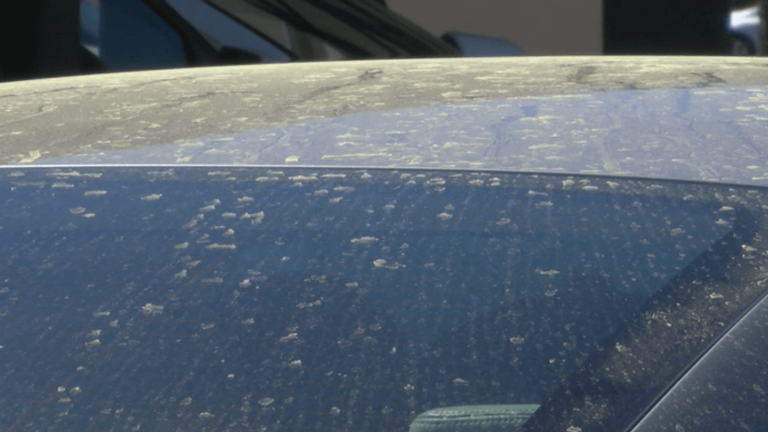 Experts advise washing cars regularly as pollen season remains in full ...