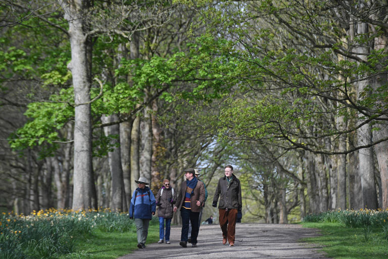13 photos of families soaking up the sunshine at Temple Newsam Farm ...