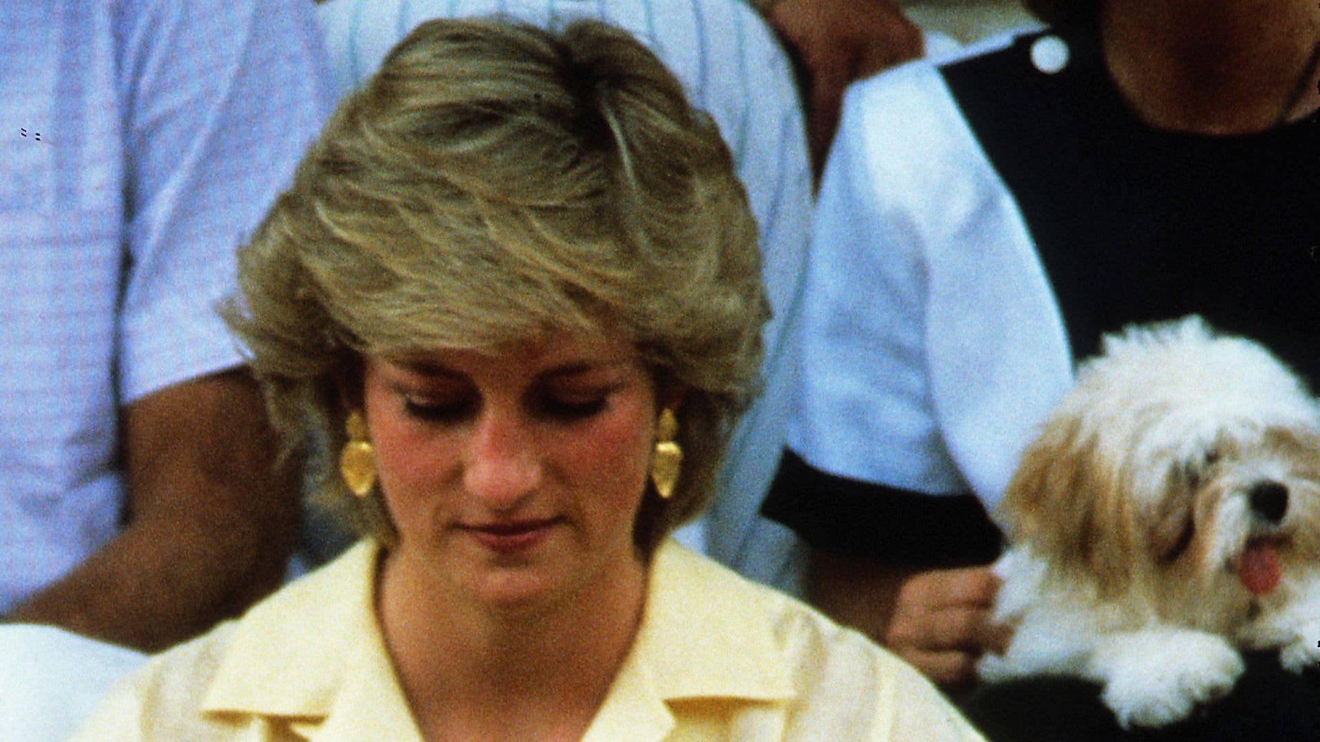 Walkies-proof hairstyles: Princess Diana's stylist on hair that lasts ...