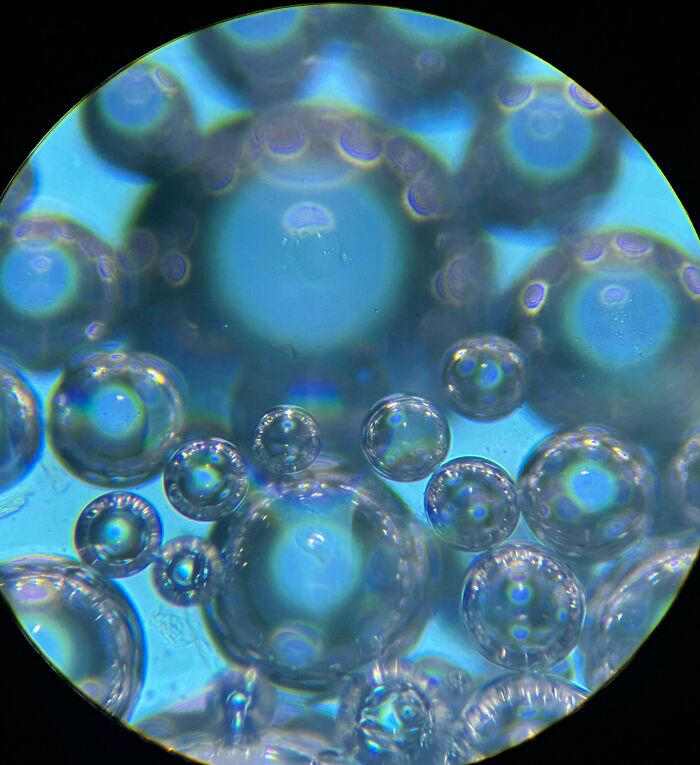 72 remarkable microscopic pictures showing things up-close