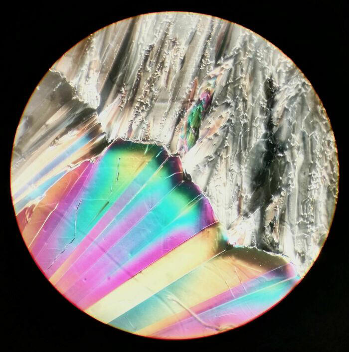 72 remarkable microscopic pictures showing things up-close