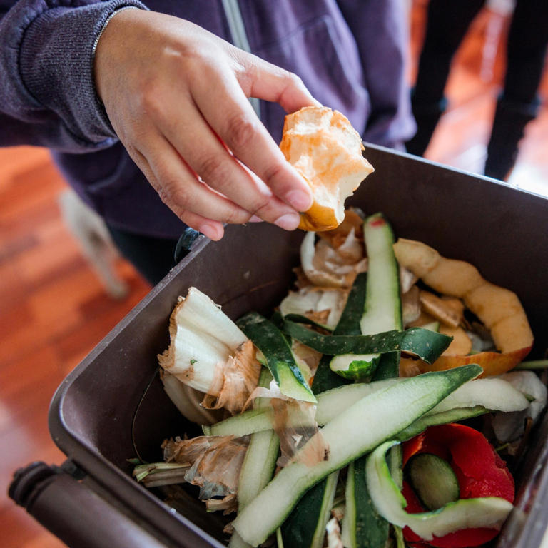 From kitchen counters to outdoor gardens, these are the best compost ...