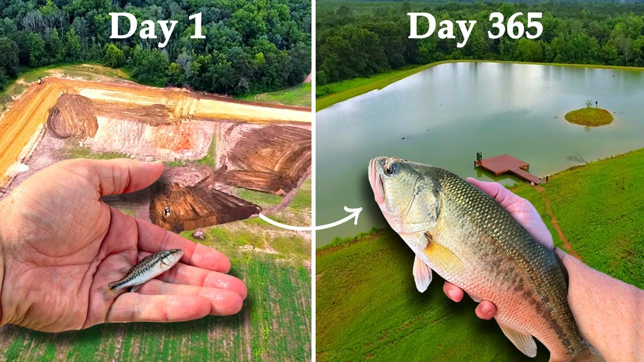 I added bass to our pond—and you won't believe what happened! 🎣