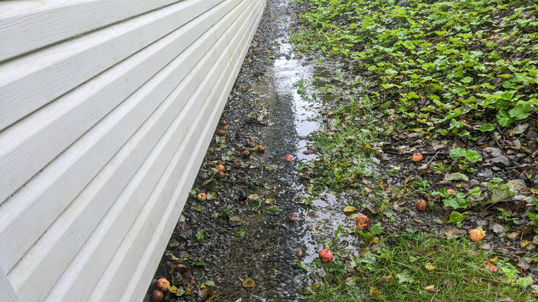 How to tell if your gutters are installed wrong (& tips for fixing it)