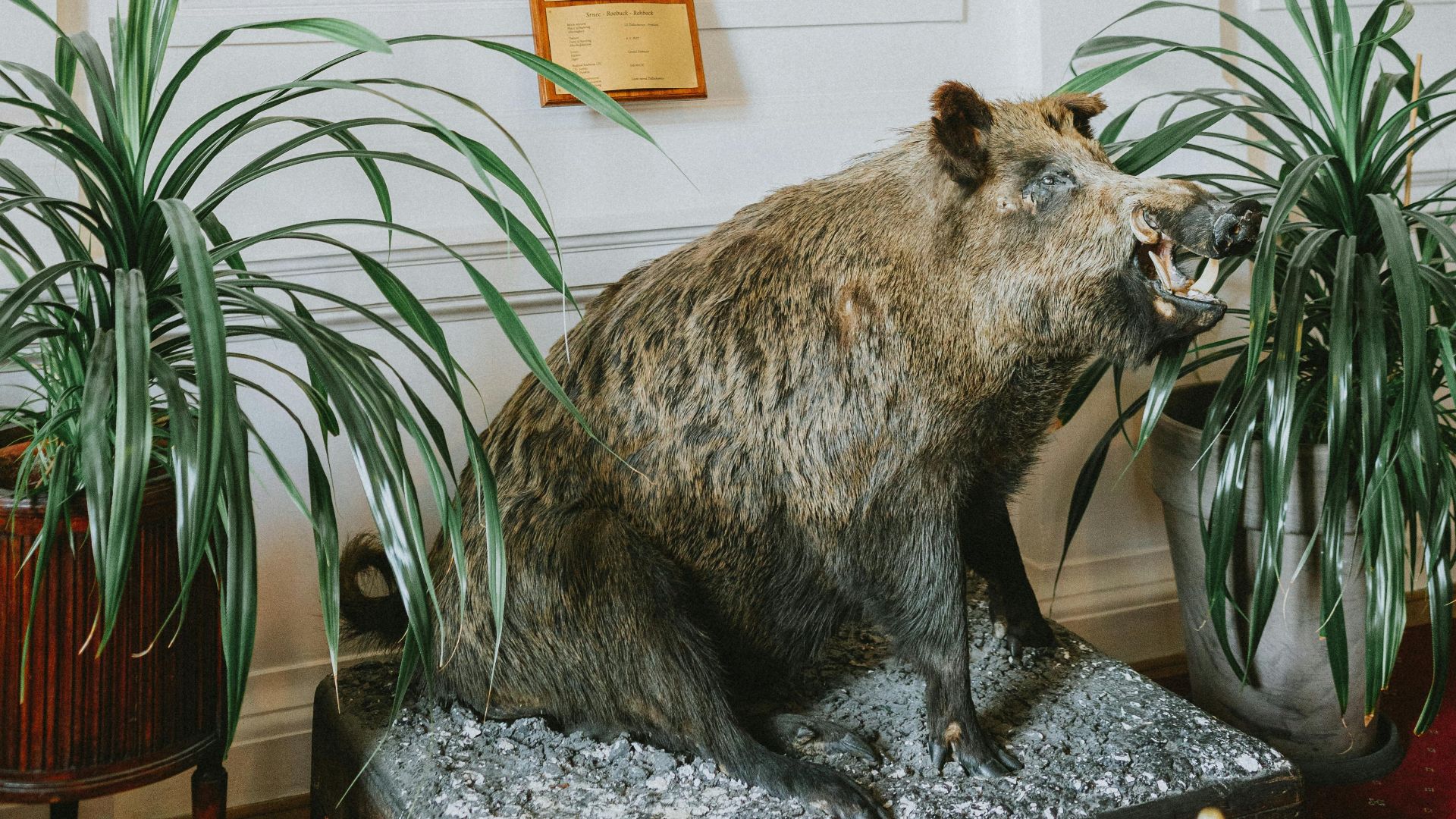 20 weird things people display that they think are normal