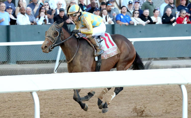 Silent Tactic horse trainer, jockey, owner for Kentucky Derby 2026