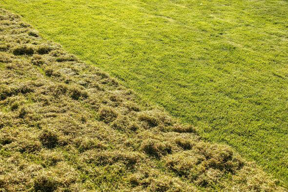 Monty Don's 1 task to remove moss from lawns and make grass grow ...