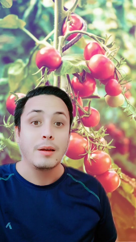 ¿Te gusta la salsa de tomate? #historia #nescritor #curiosidades