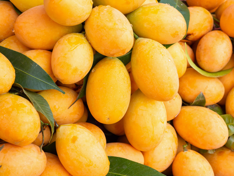 Mango season alert: How to check if your mangoes are naturally or ...