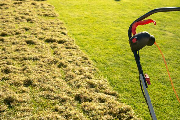 Monty Don's 1 task to remove moss from lawns and make grass grow ...