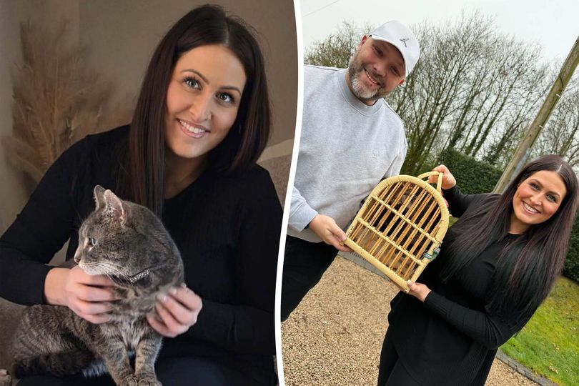 Woman's shock as missing Derbyshire cat found five years after being ...