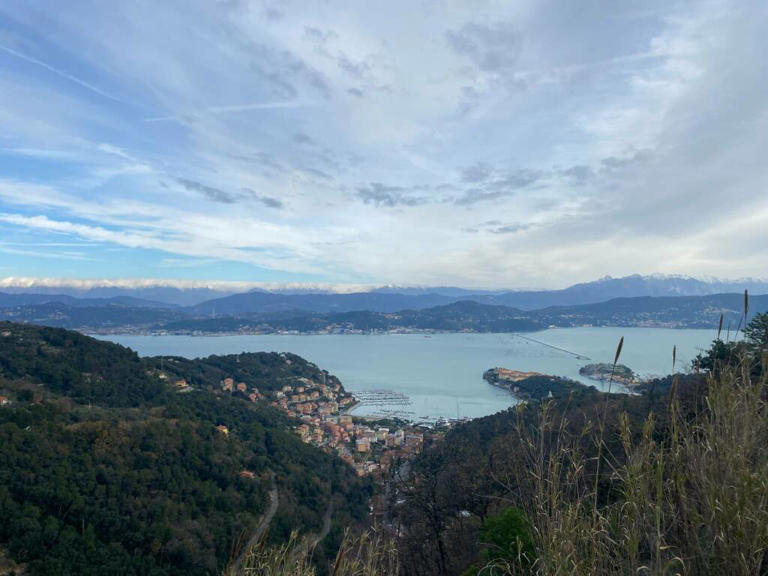 “Le Grazie Porto Venere la baia dell’arte”, esposizione delle opere e ...
