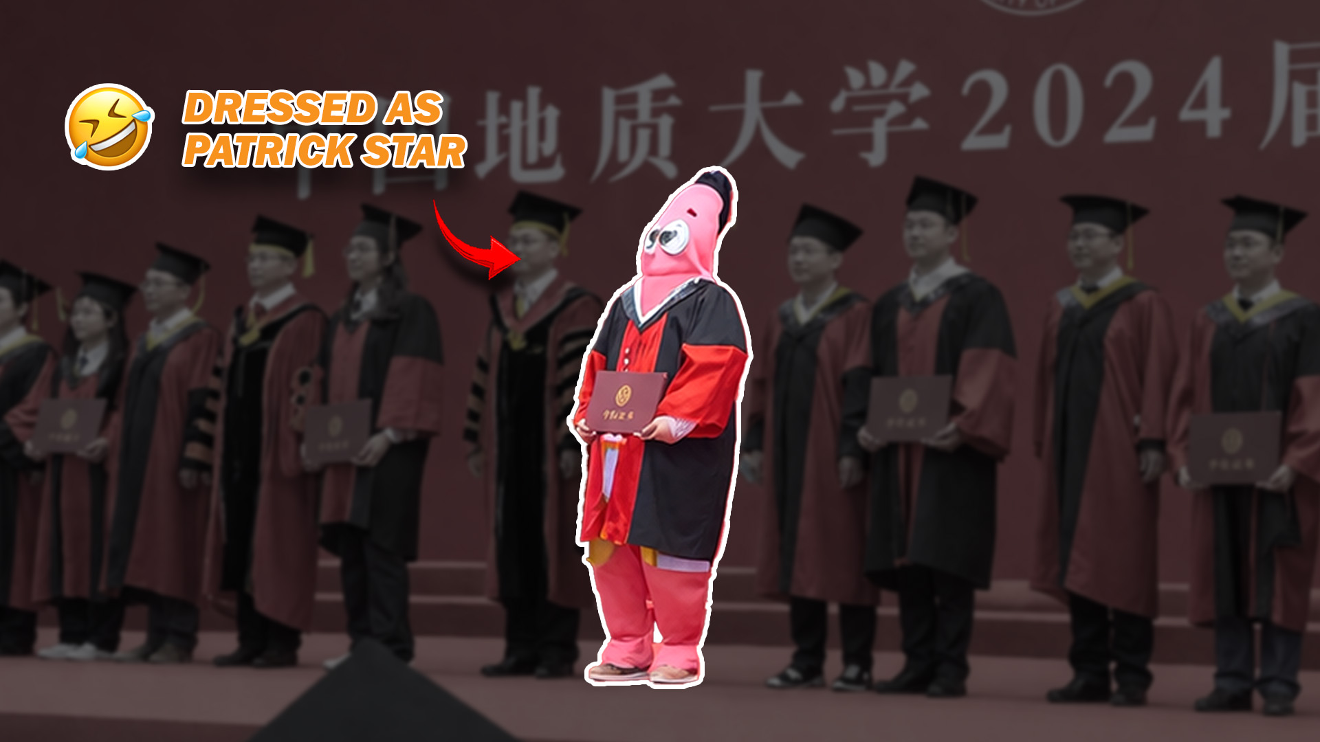 Funny video highlights