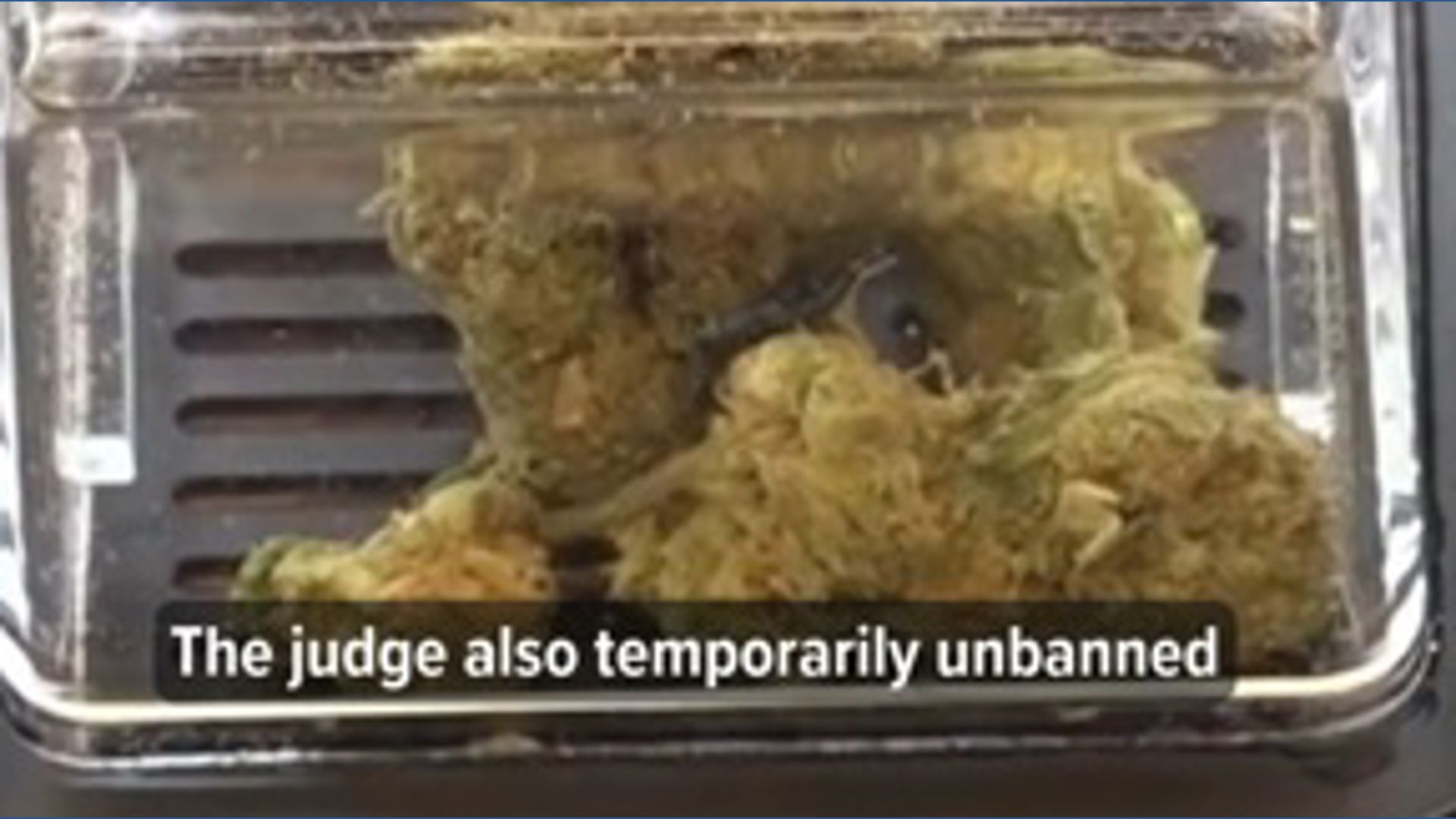 Texas judge temporarily blocks smokable hemp ban