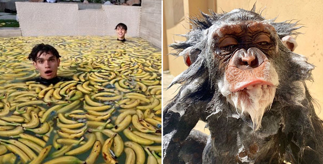 37 weekend morning randoms to wash your brain