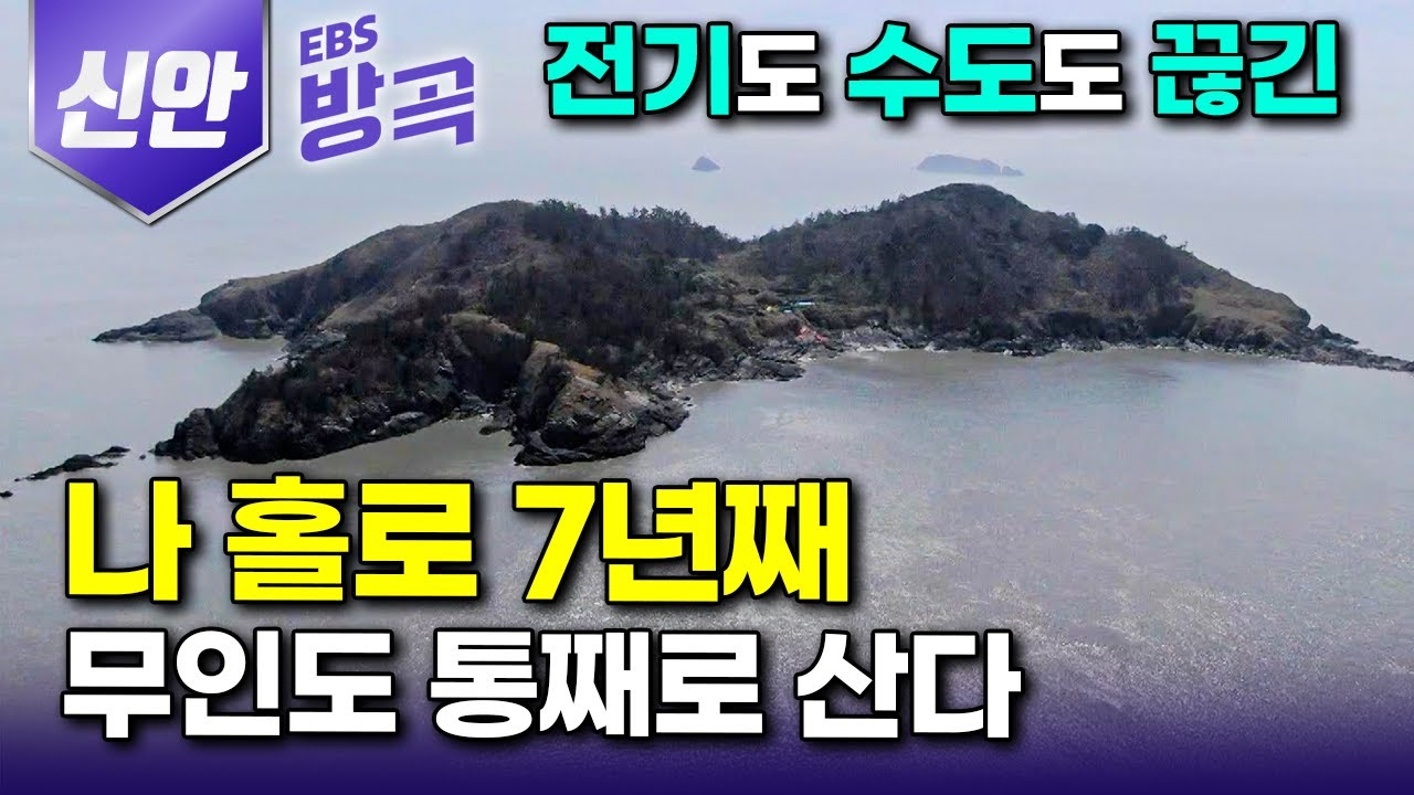 [전남 신안] "잠깐만 쉬고 올게" 도시 싫다고 아무도 없는 오지로 홀로 떠나더니 멀쩡한 도시 집 뒤로하고 섬에 눌러 앉아 7 ...