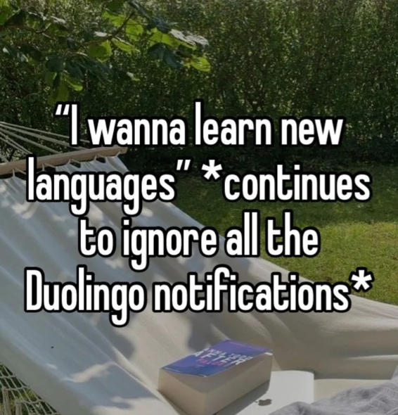25 Duolingo memes for people who keep their streak alive no matter ...