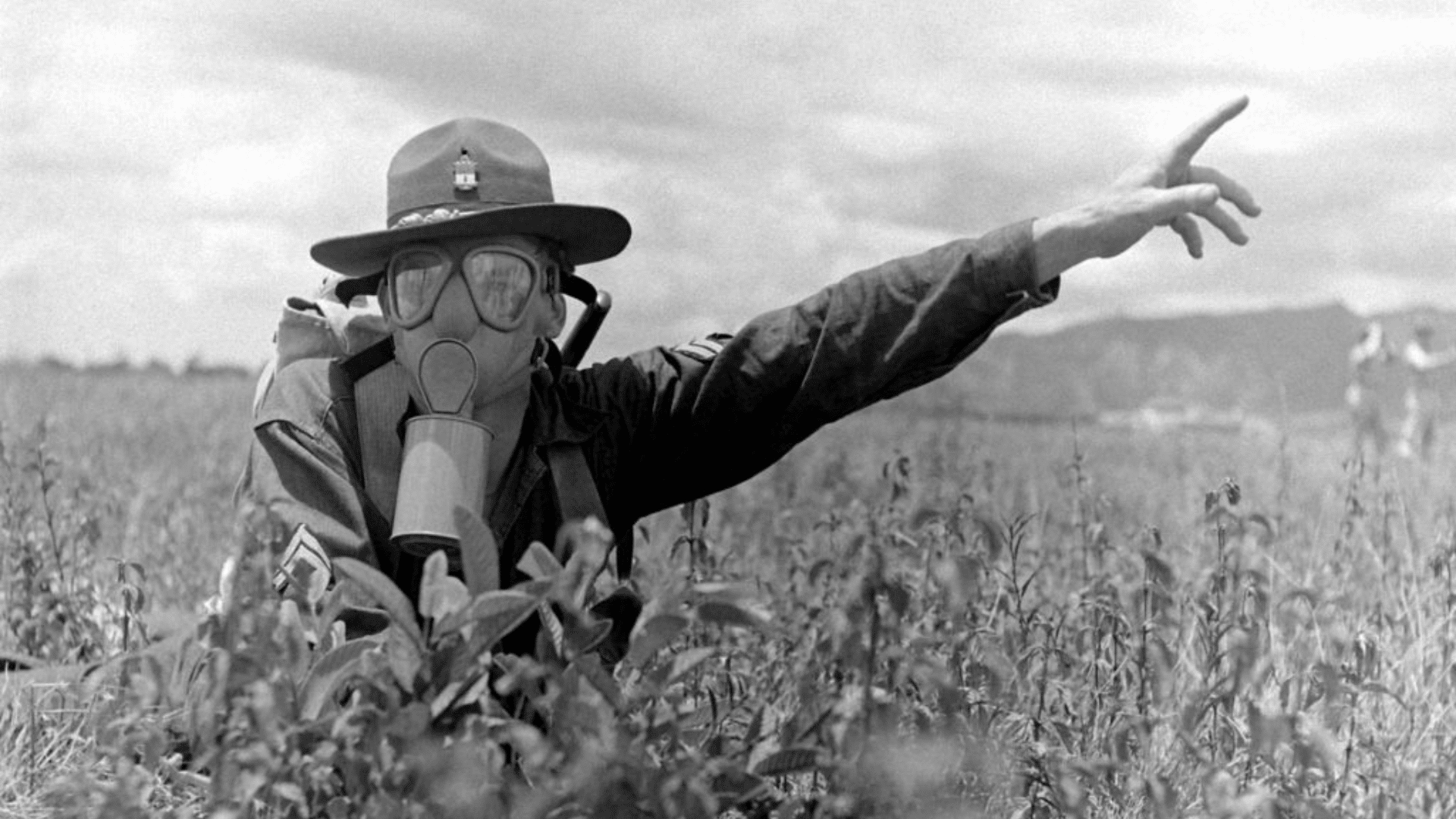 American life following the Pearl Harbor attack