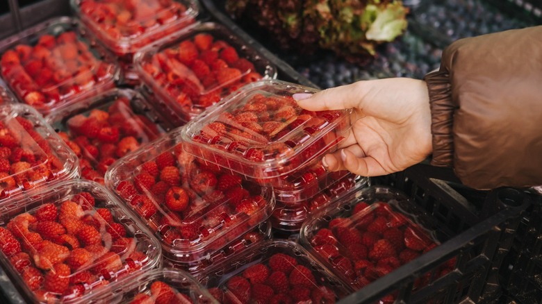 Stop wasting plastic fruit containers! Turn them into simple seed starters
