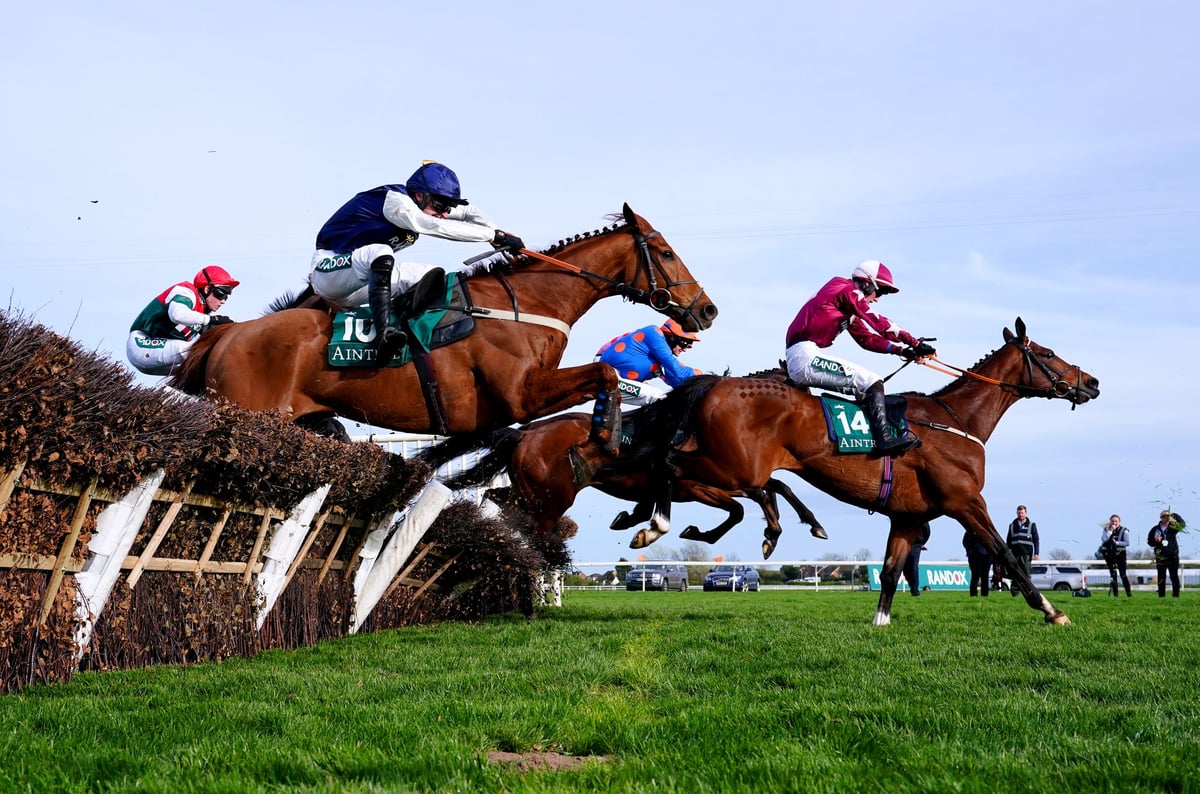 Grand National 2026: Full list of runners and horse-by-horse guide