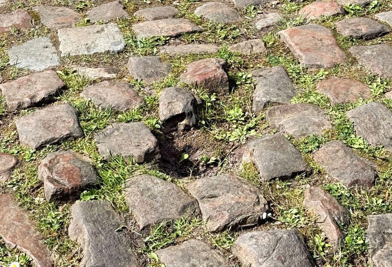 Sabotage feared after thieves steal Paris-Roubaix cobbles