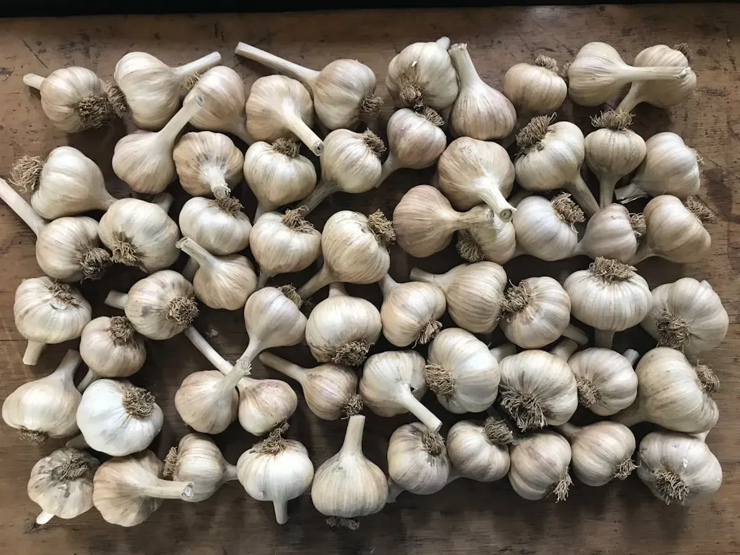 How to grow your own garlic: The easiest 'set it and forget it' crop