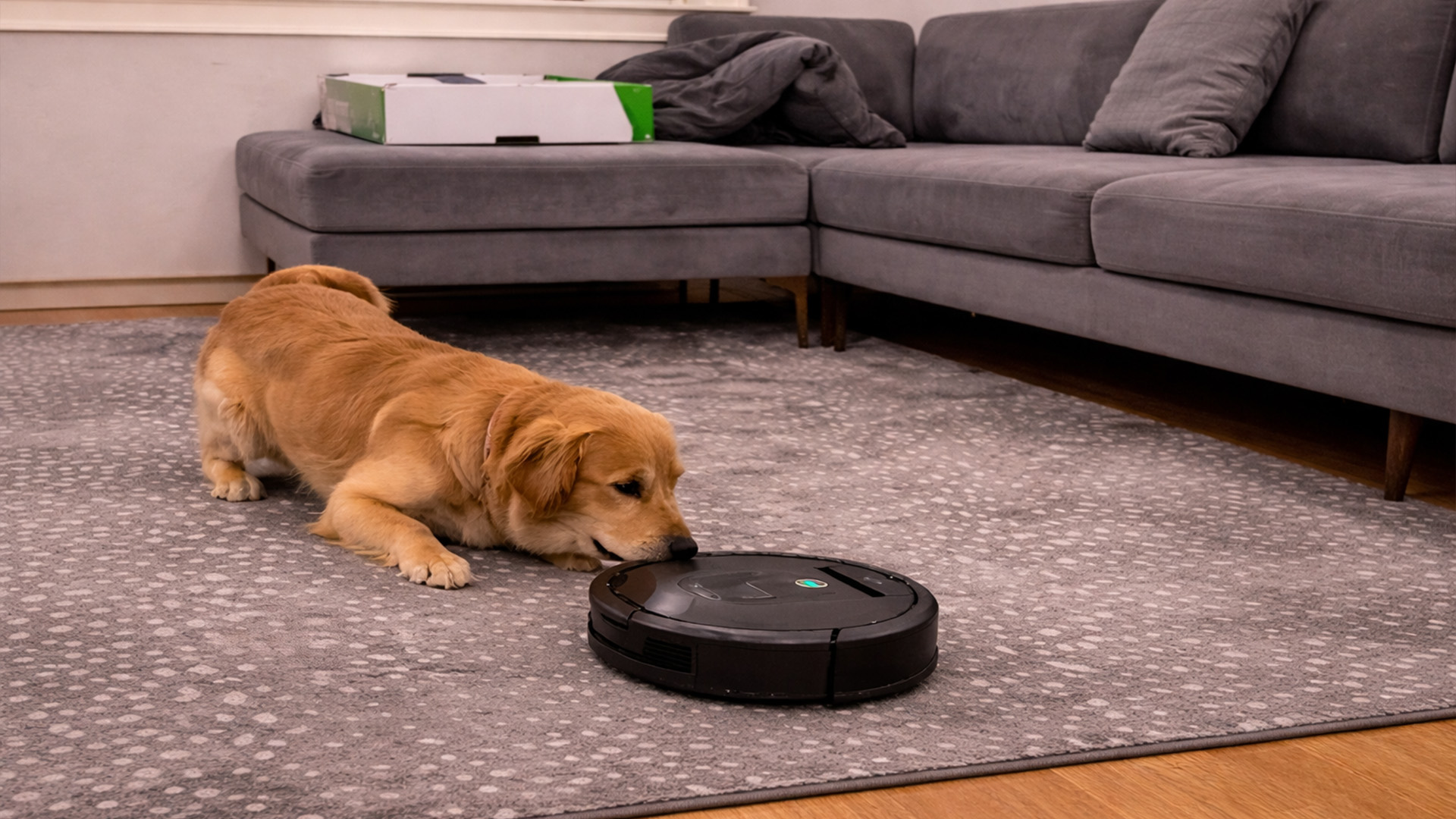 Dog meets robot vacuum for the first time