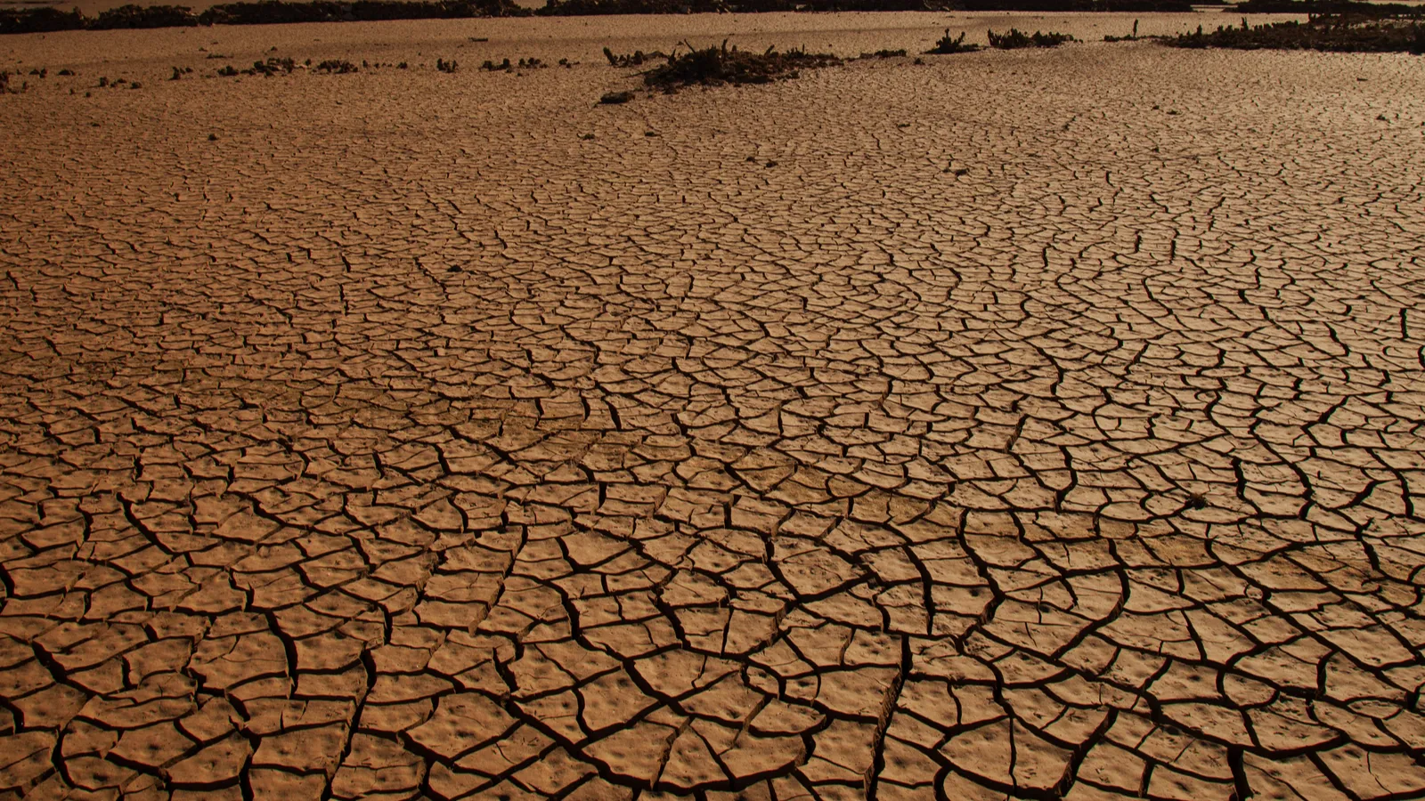 Southeast drought worsens as Georgia wildfires deepen the crisis