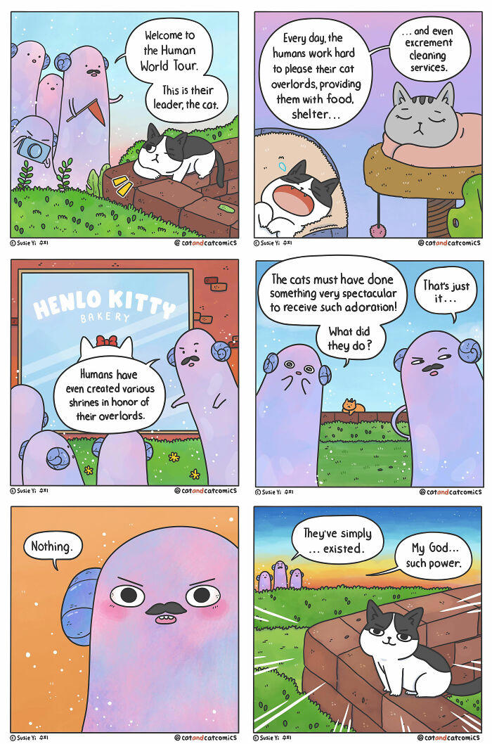 24 funny and wholesome comics about the secret life of cats