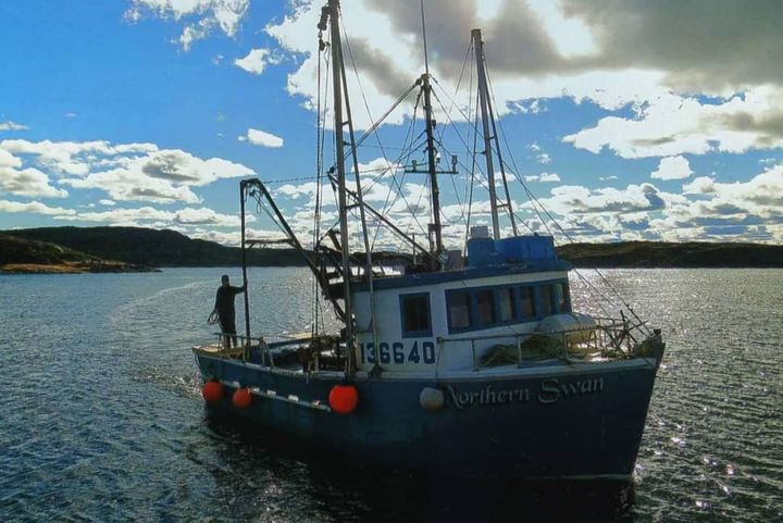 Boat crew races to save marooned Arctic fox