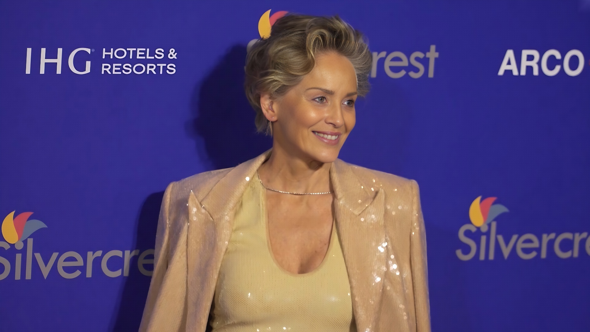 Sharon Stone’s career journey reflects decades of reinvention in Hollywood